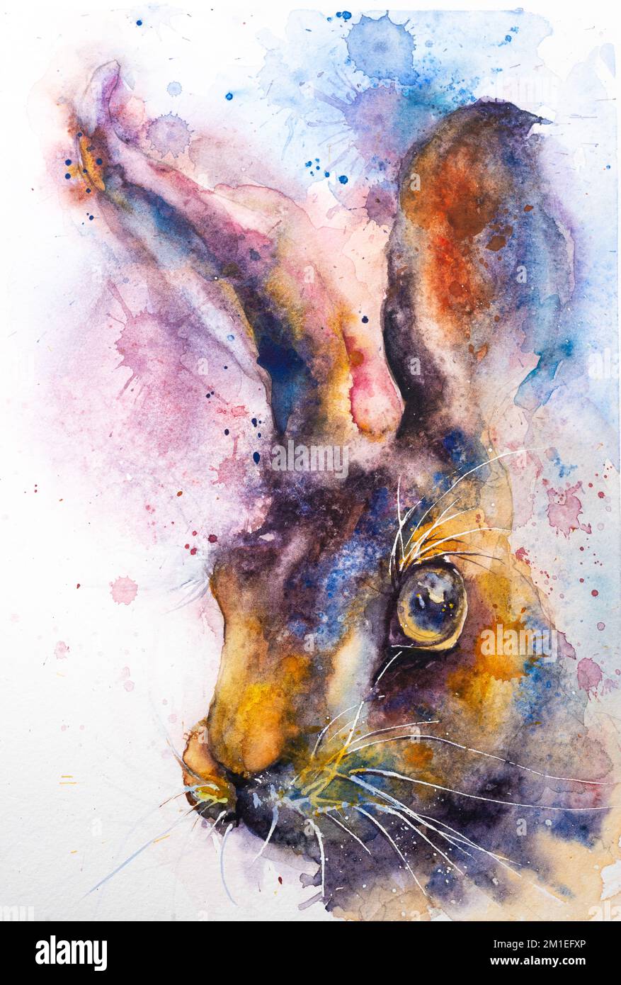 Hare Bunny portrait watercolor painting illustration adorable rabbit ...
