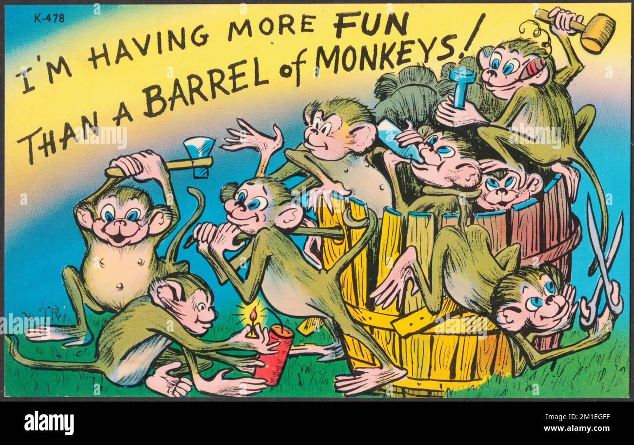 I'm having more fun than a barrel of monkeys! , Barrels, Monkeys ...