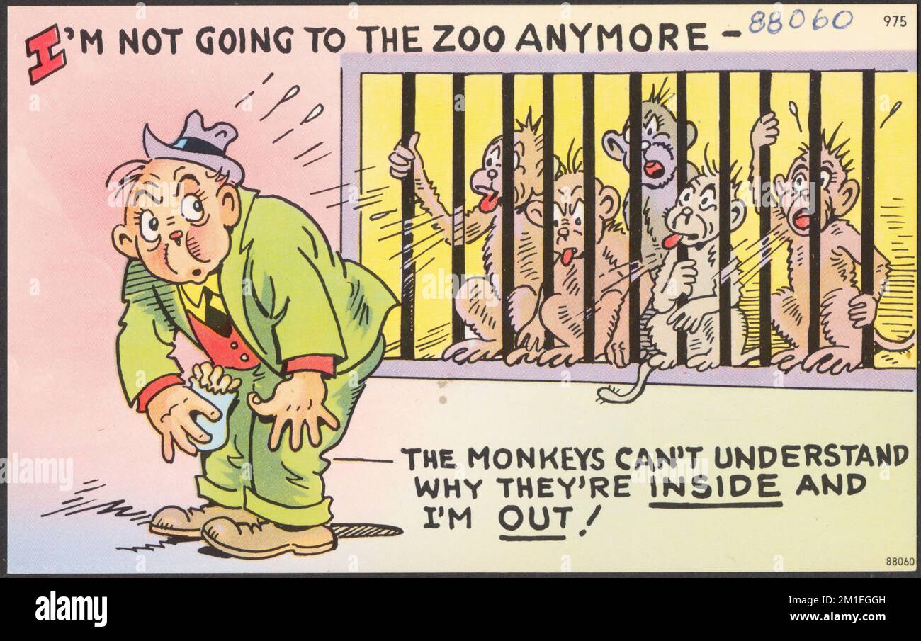 I'm not going to the zoo anymore - the monkeys can't understand why ...