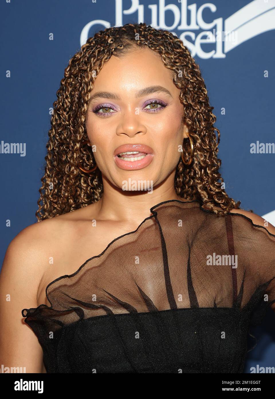 Beverly Hills, Ca. 11th Dec, 2022. Andra Day, at Public Counsel's ...