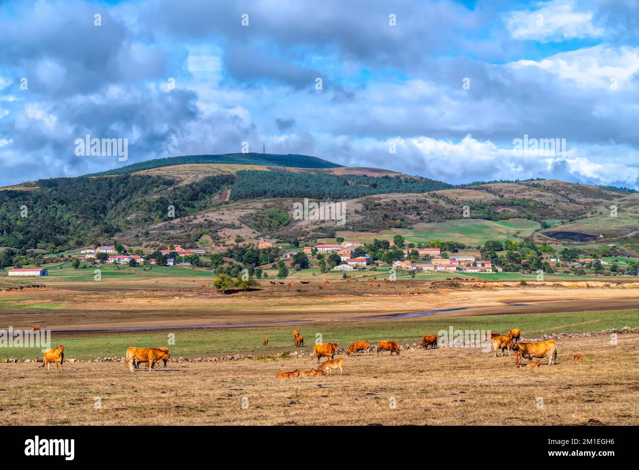 Cantabria Spain countryside with green fields and hills at La Poblacion ...
