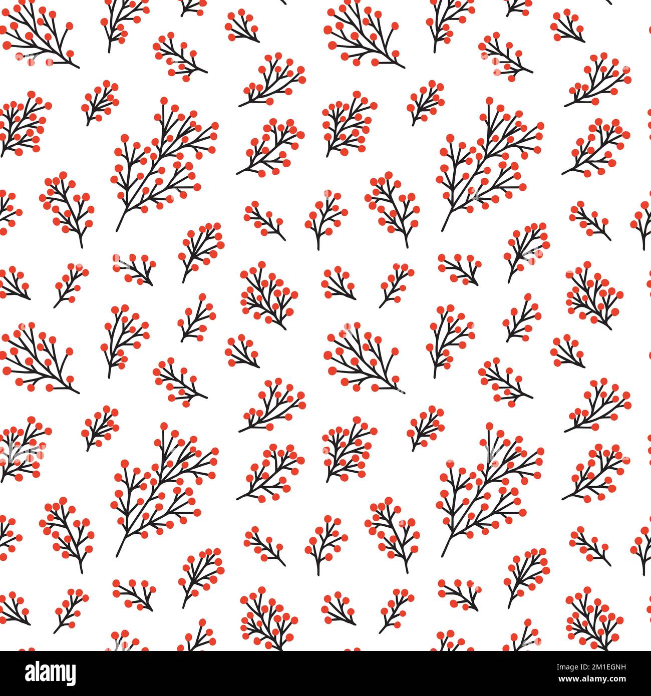 Holly growth Cut Out Stock Images & Pictures - Alamy