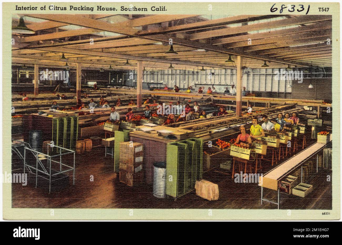 Interior of citrus packing house, Southern Calif. , Industrial ...