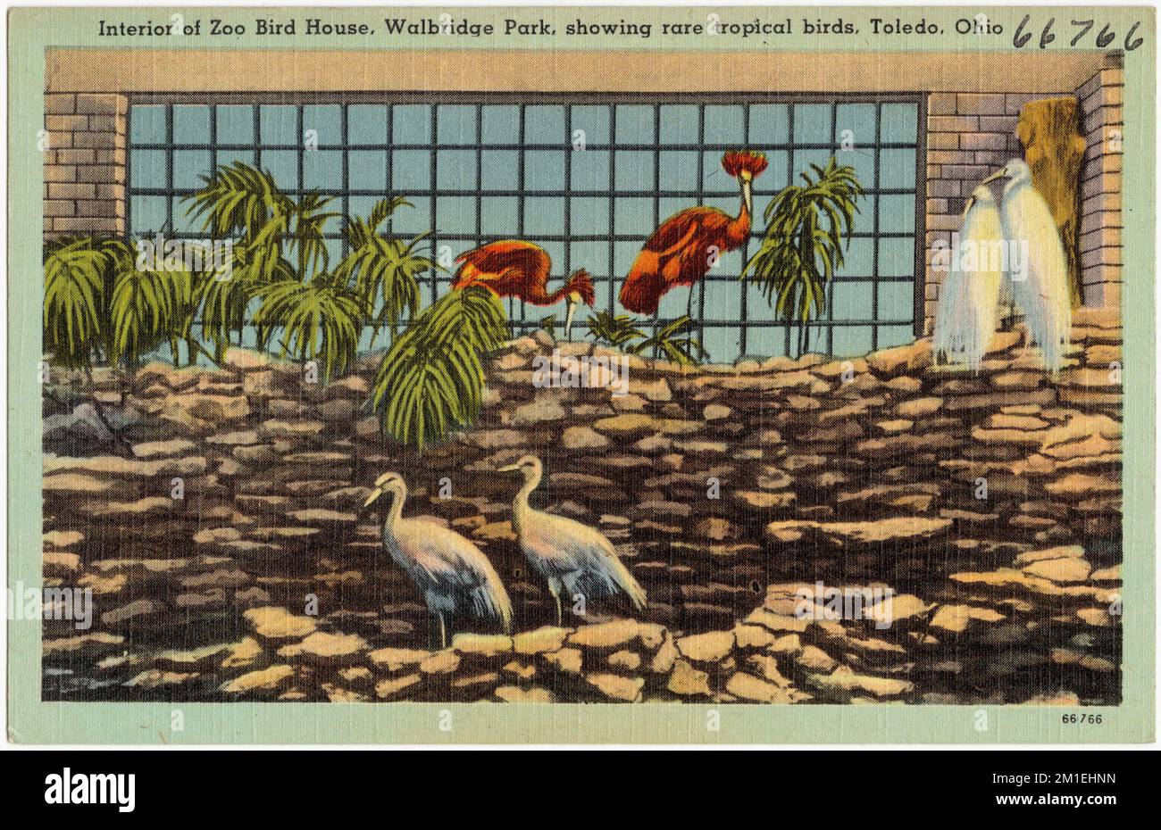 Interior of Zoo Bird House, Walbridge Park, showing rare tropical birds ...