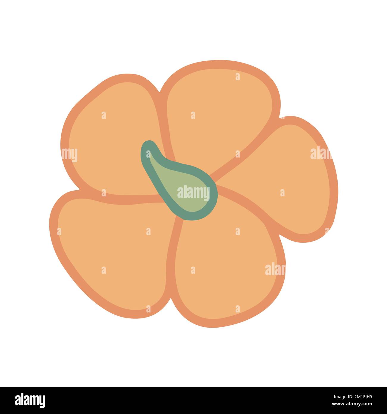 Pumpkin top view Stock Vector Image & Art - Alamy