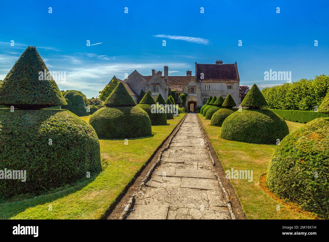 Two rows of yew tree topiary known as the 12 Apostles at Lytes Cary ...