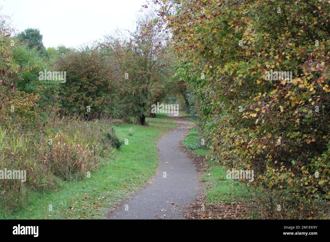 Quiet trail green park hi-res stock photography and images - Alamy