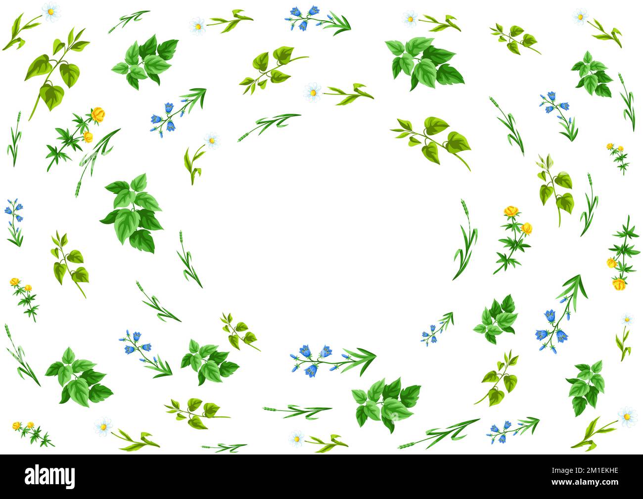 Field buttercup flowers Stock Vector Images - Alamy