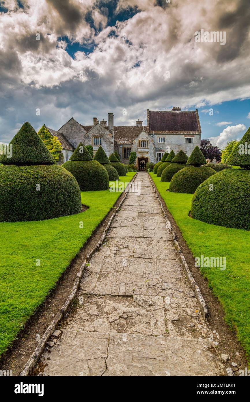 Two rows of yew tree topiary known as the 12 Apostles at Lytes Cary ...