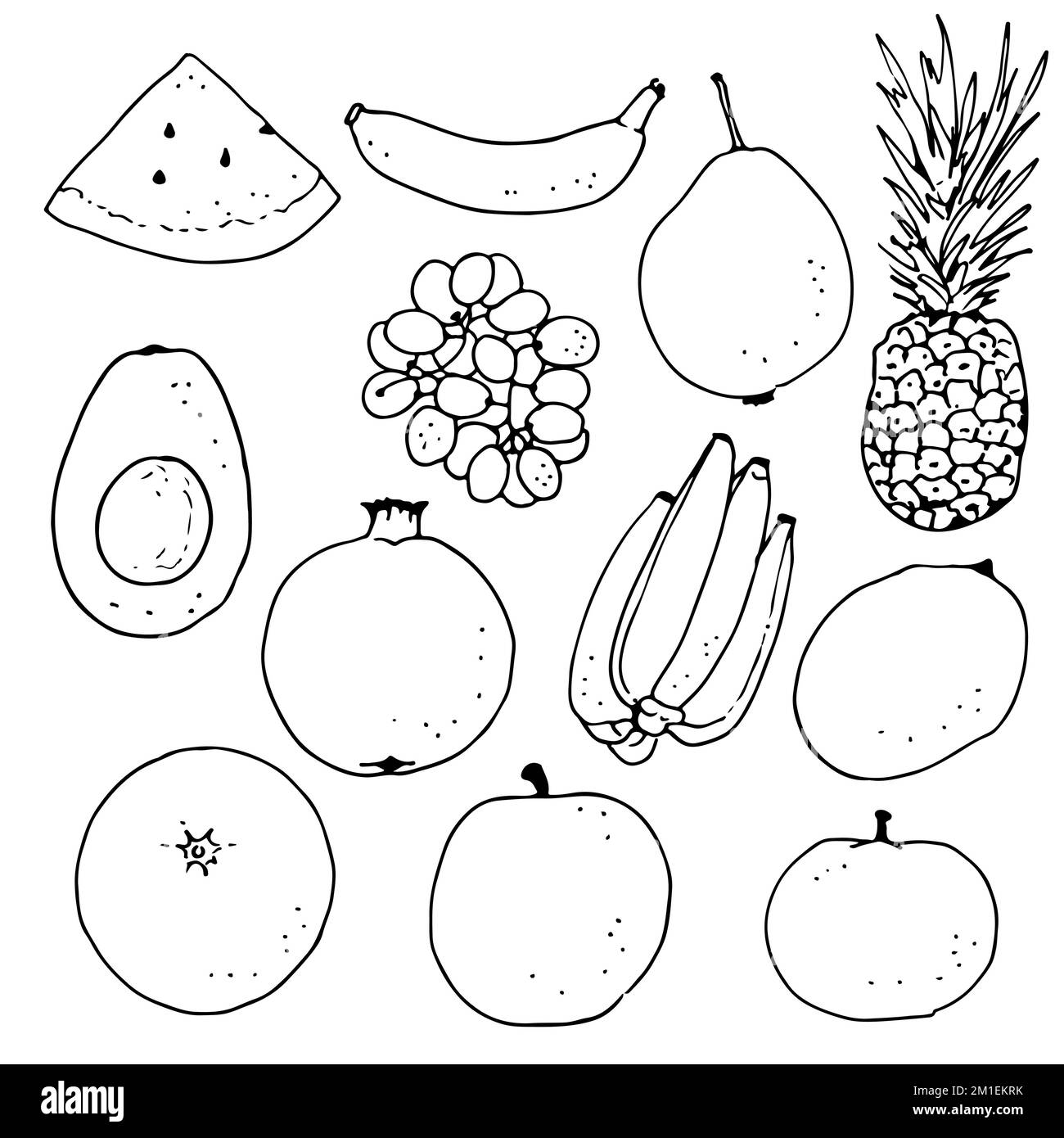Set of fruits, hand drawn vector illustration isolated on white ...