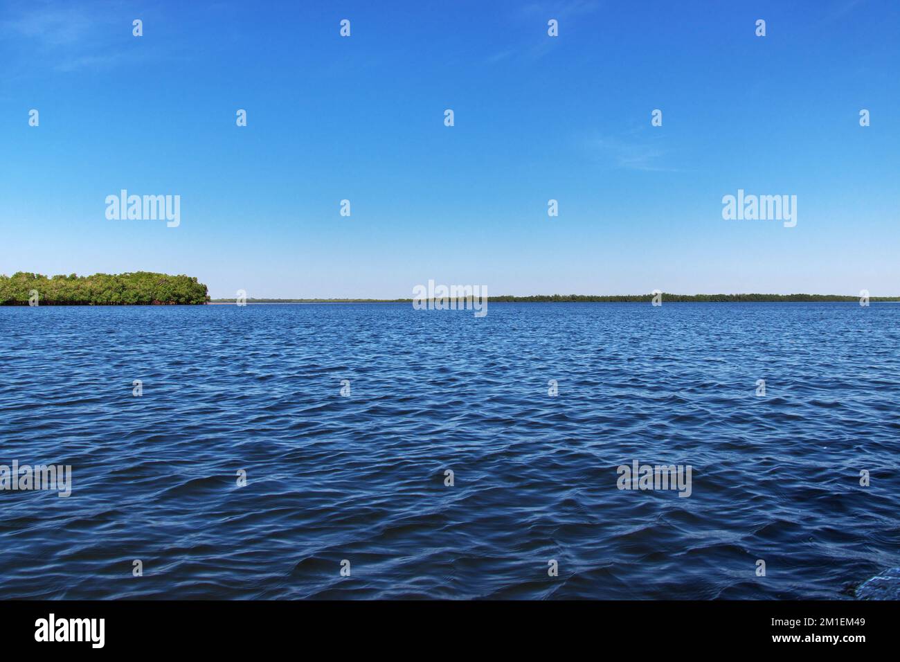 Casamance river, Ziguinchor Region, Senegal, West Africa Stock Photo ...