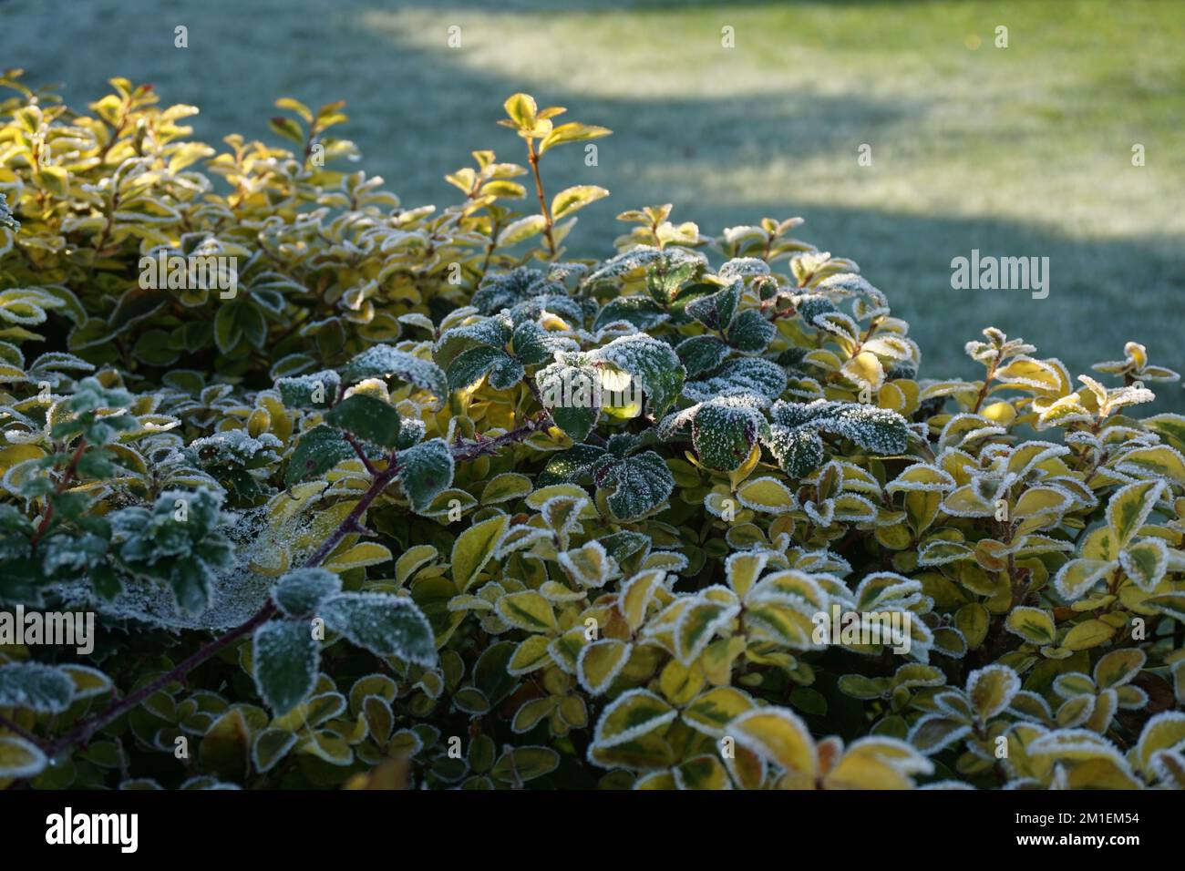 Unmelted hi-res stock photography and images - Alamy