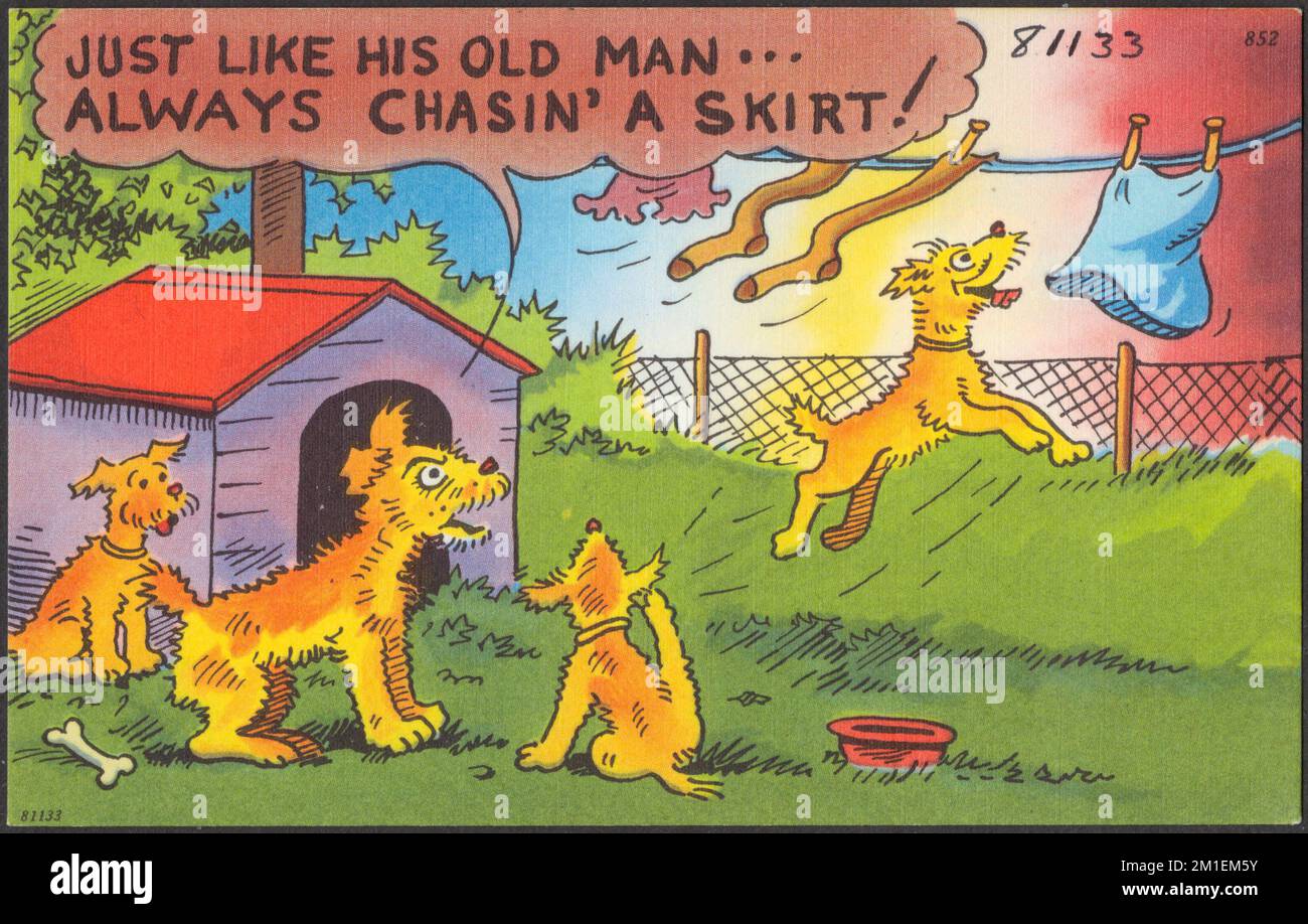 Just like his old man... always chasing a skirt , Laundry, Clotheslines ...