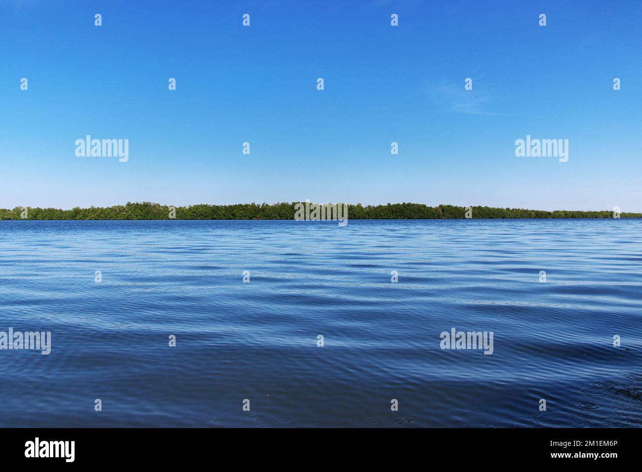 Casamance river, Ziguinchor Region, Senegal, West Africa Stock Photo ...