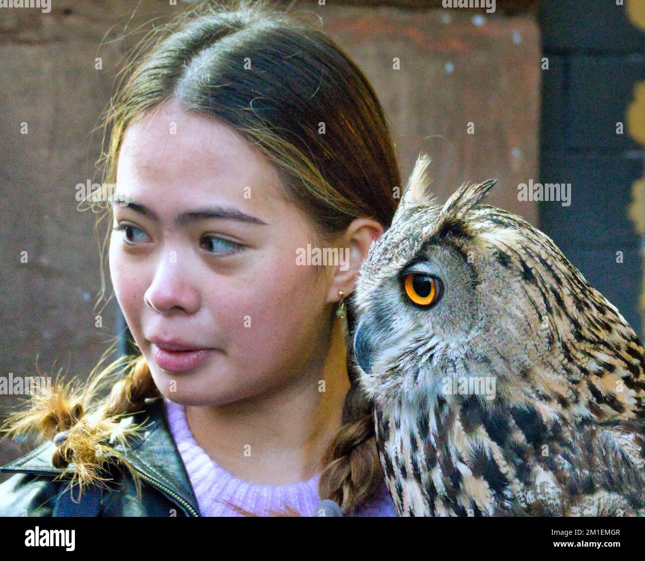 Tourist girl with an eagle owl on the royal mile in Edinburgh, Scotland ...