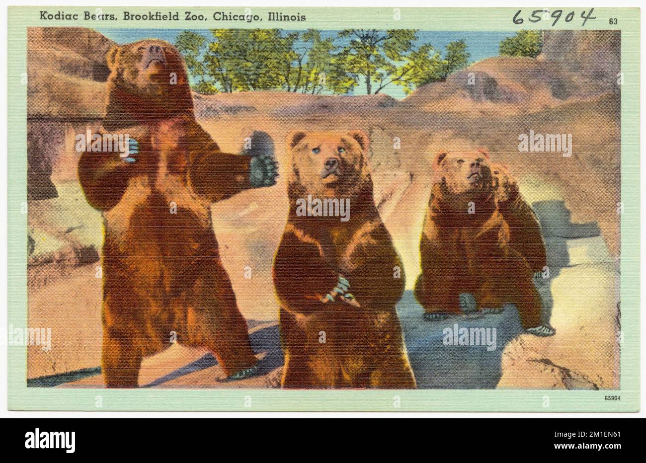 Kodiac Bears, Brookfield Zoo, Chicago, Illinois , Galleries & museums ...