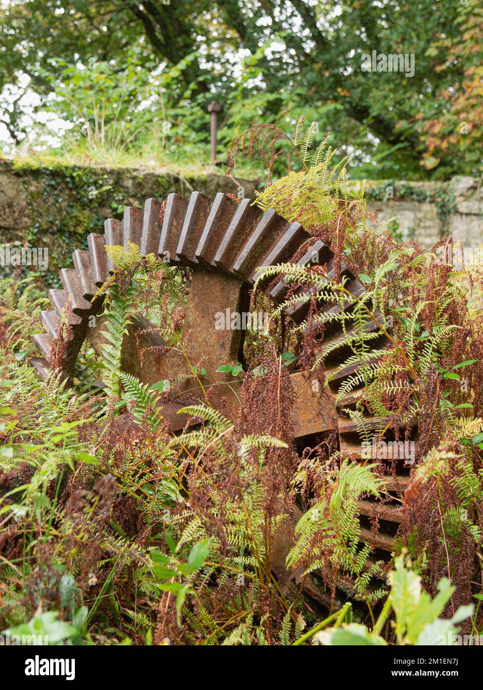 Water wheel mechanical gears and cogs at Carmears pit Luxulyan valley ...