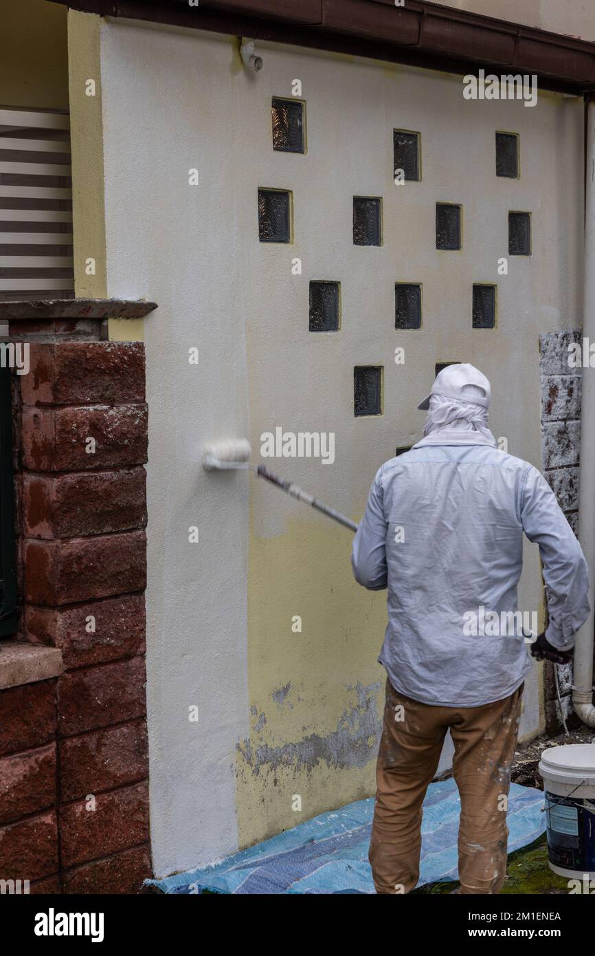 Painter worker adding undercoat foundation paint onto wall with roller ...
