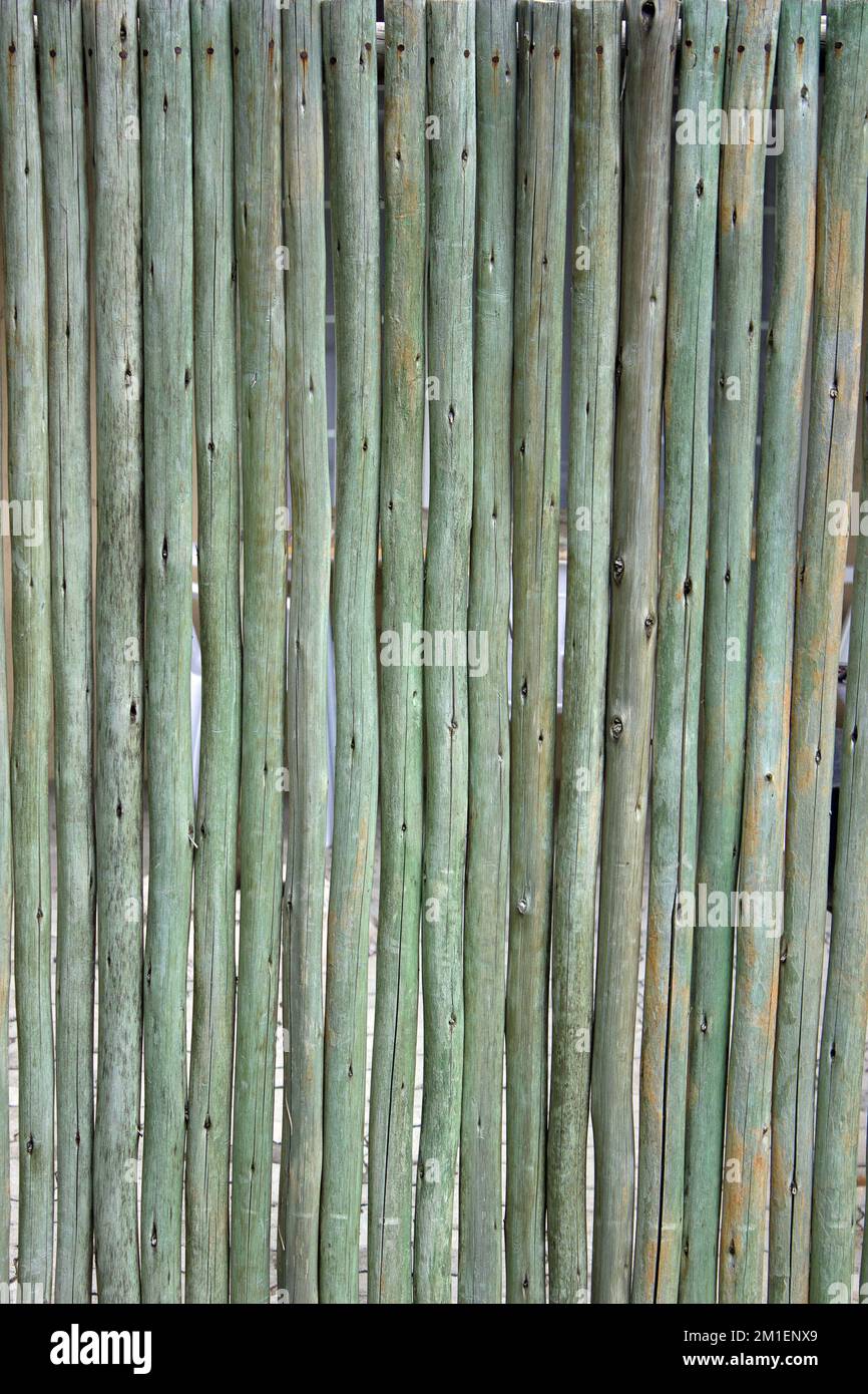 Treated green small wooden poles standing vertical to form a partition ...
