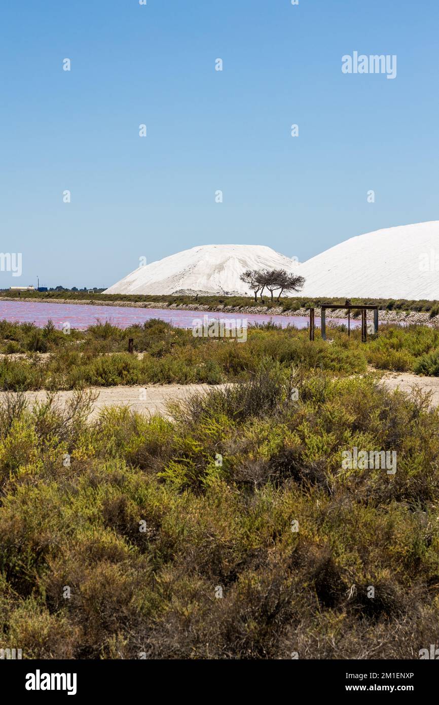 Salin d’aigues mortes hi-res stock photography and images - Alamy