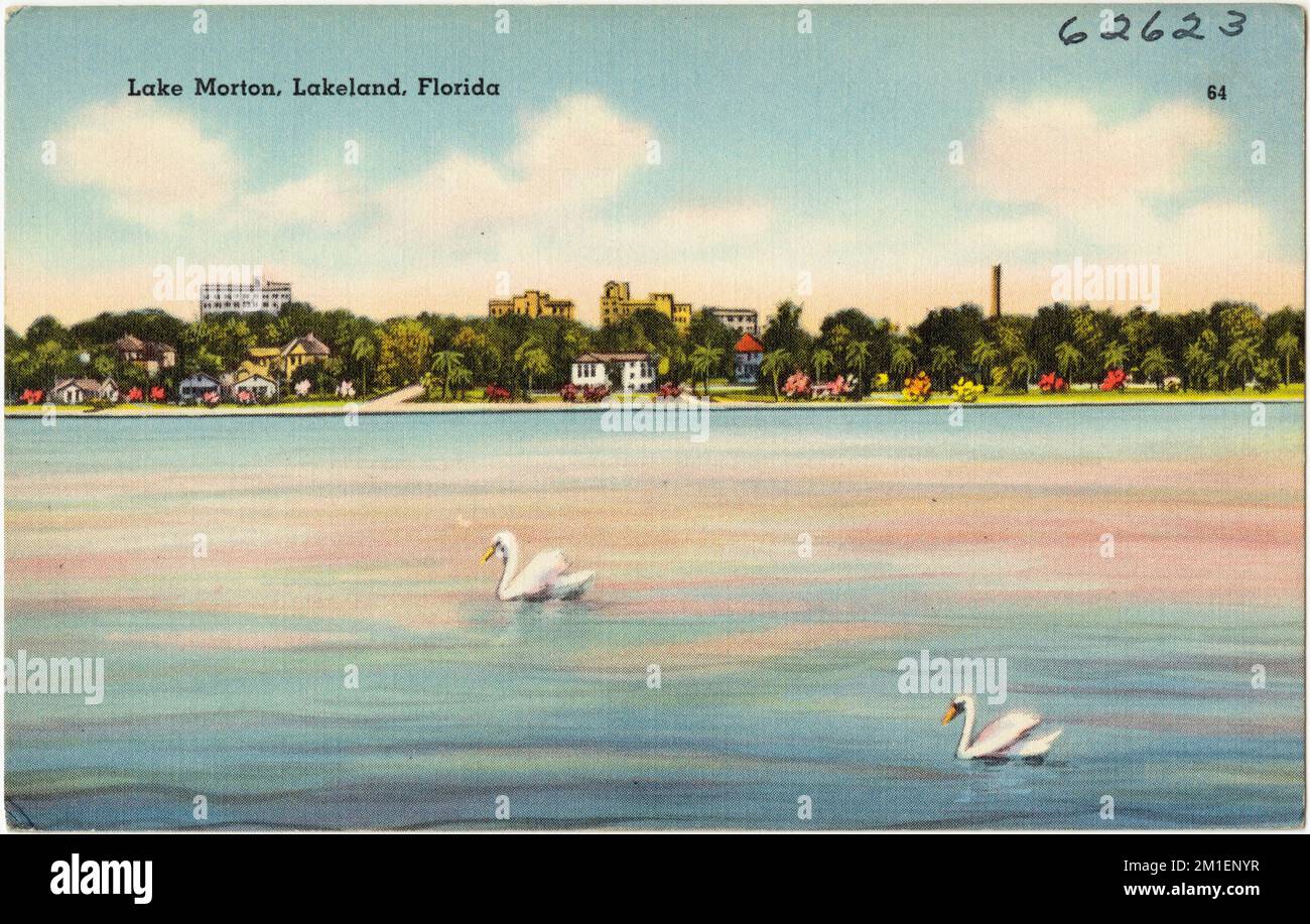 Lake Morton, Lakeland, Florida , Lakes & ponds, Tichnor Brothers ...