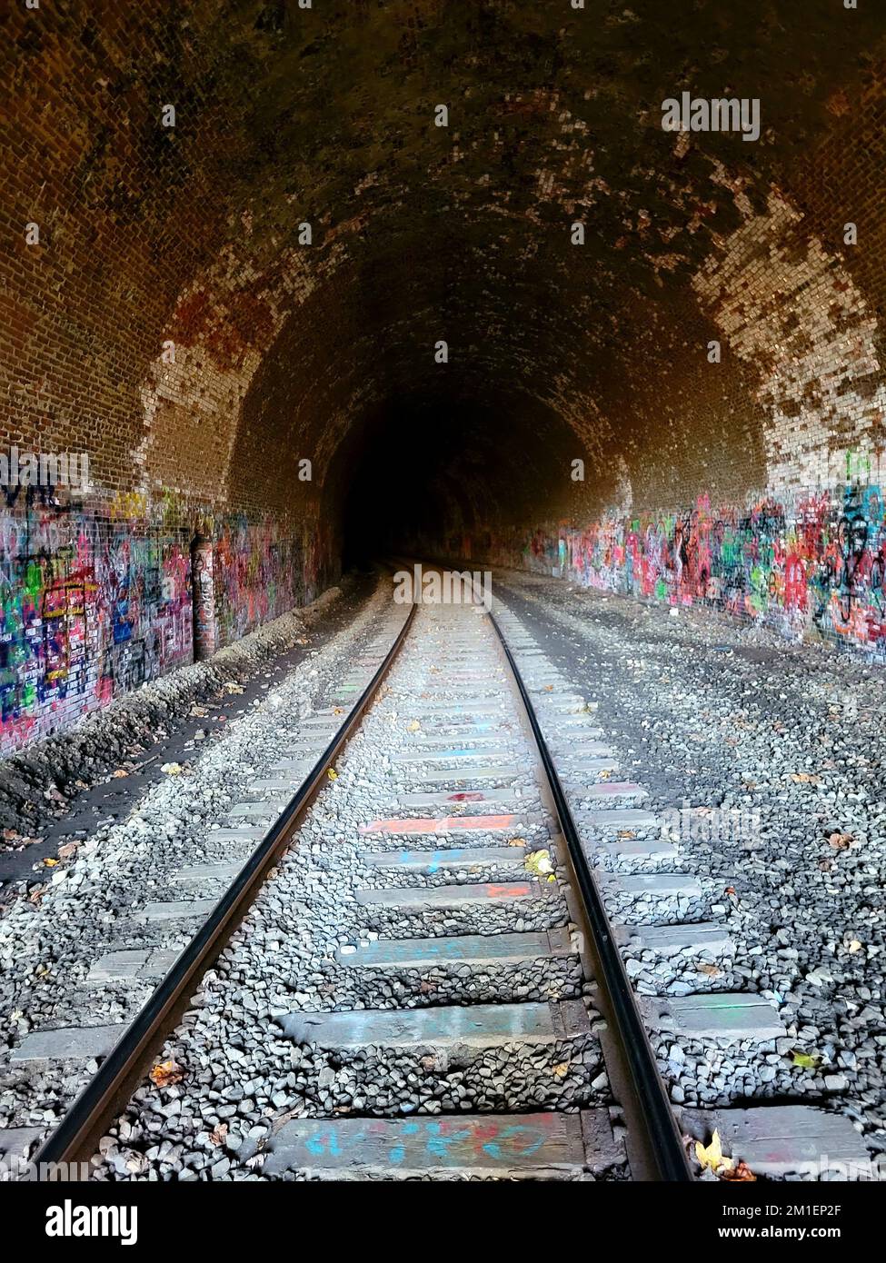 Train tracks going through a tunnel Stock Photo - Alamy
