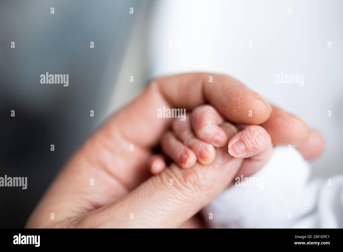 hand of newborn baby who has just been born holding the finger of his ...