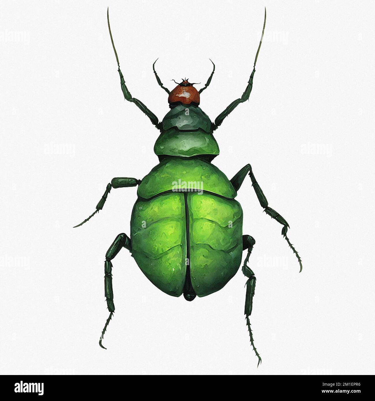 Digital insects hi-res stock photography and images - Alamy