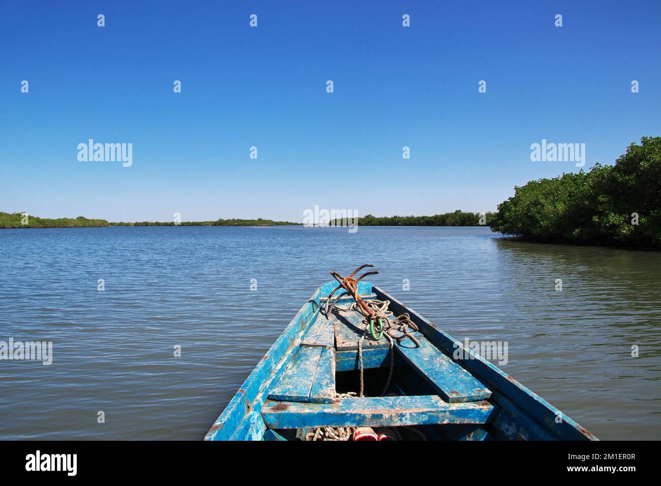 Casamance river, Ziguinchor Region, Senegal, West Africa Stock Photo ...
