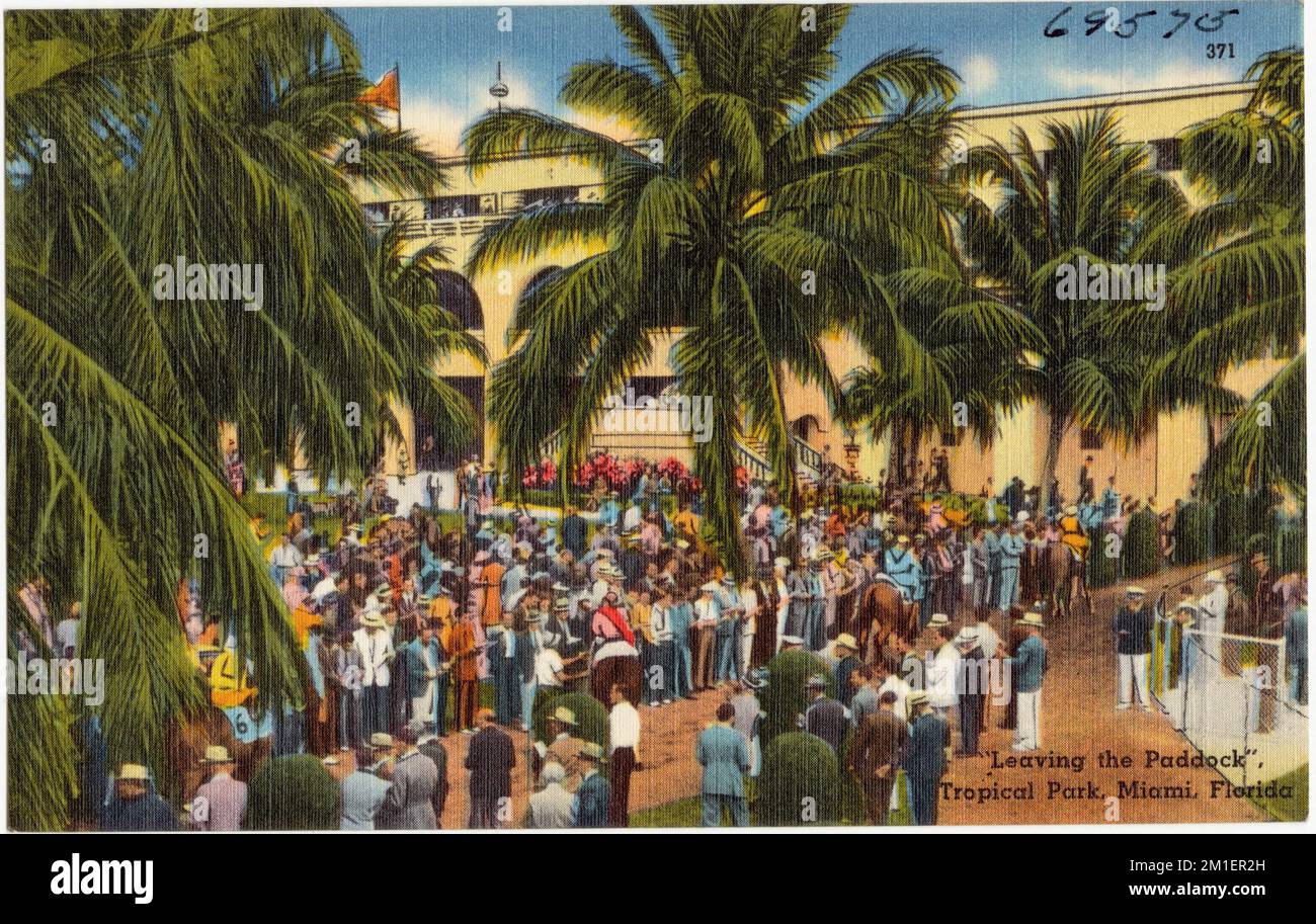 'Leaving the paddock,' Tropical Park, Miami, Florida , Sports ...