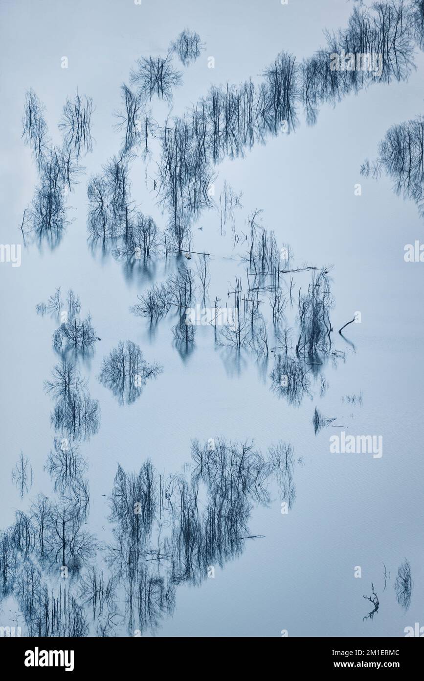 Aerial view of s-shaped pattern formed by submerged dead trees in lake ...