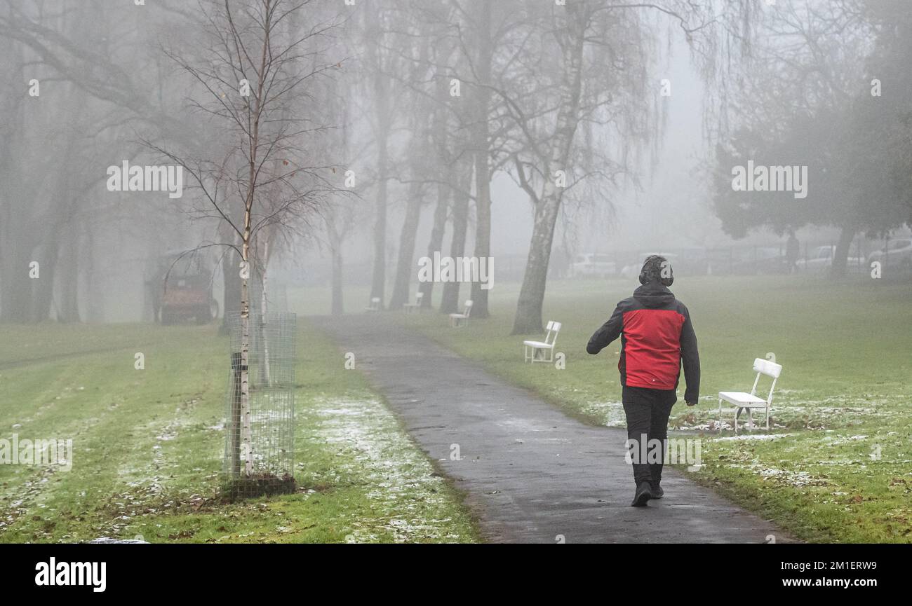 Foggy conditions in Phoenix Park, Dublin, as the Irish Met office ...
