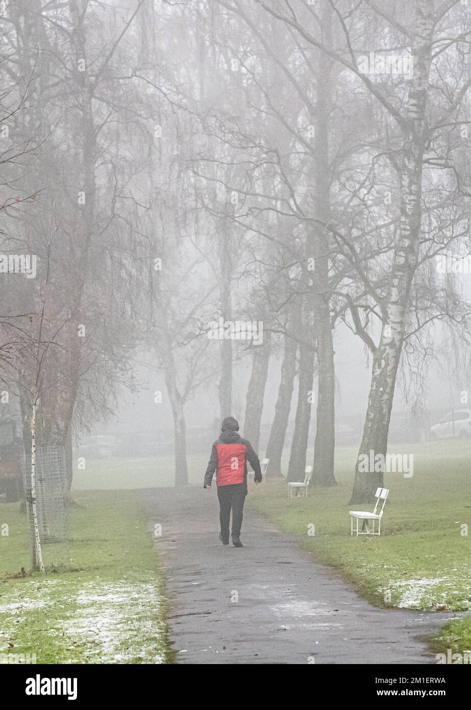 Foggy conditions in Phoenix Park, Dublin, as the Irish Met office ...