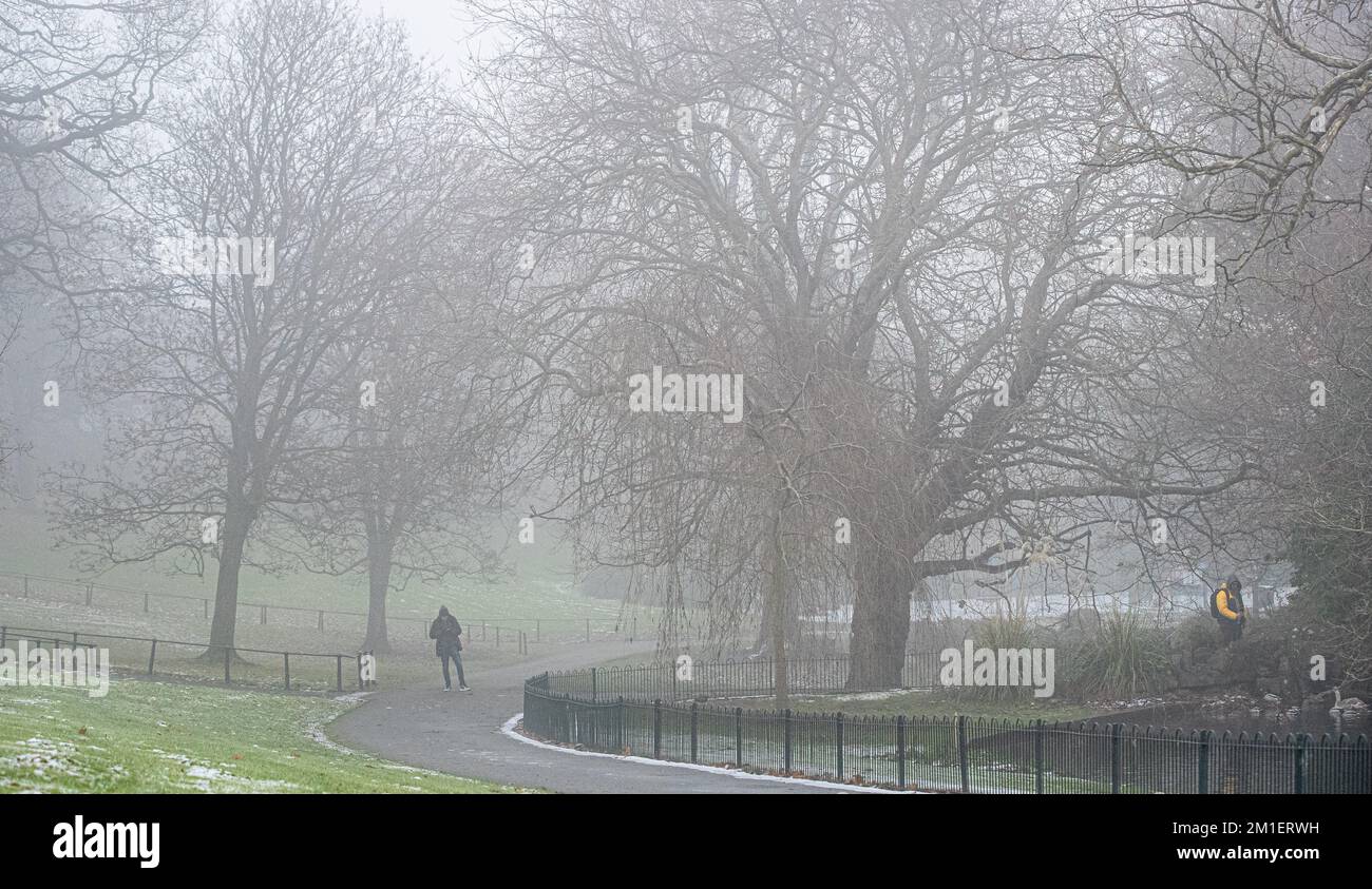 Foggy conditions in Phoenix Park, Dublin, as the Irish Met office ...