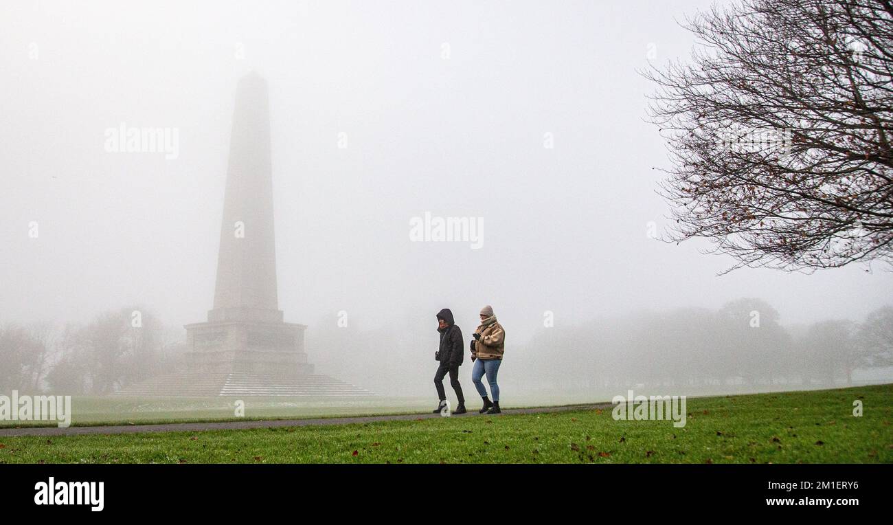 Foggy conditions in Phoenix Park, Dublin, as the Irish Met office ...