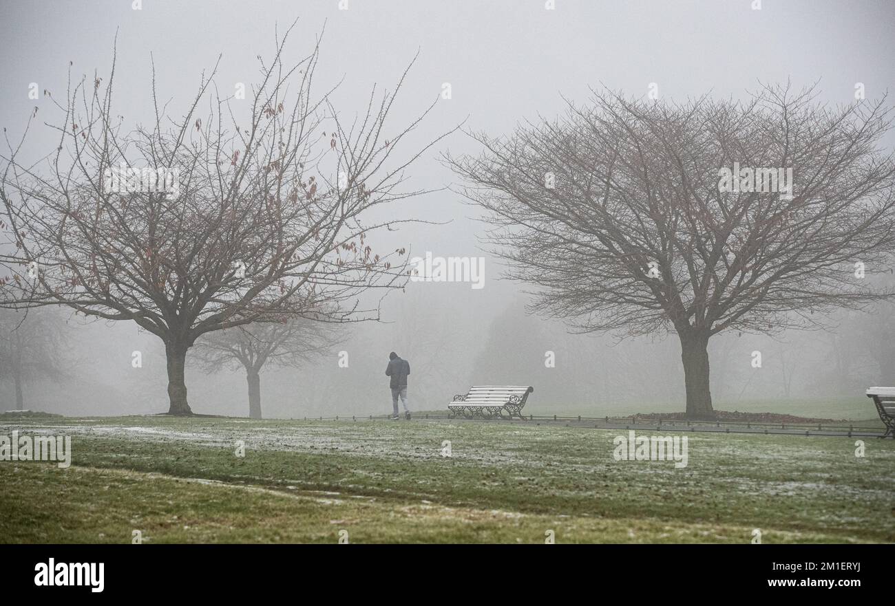 Foggy conditions in Phoenix Park, Dublin, as the Irish Met office ...