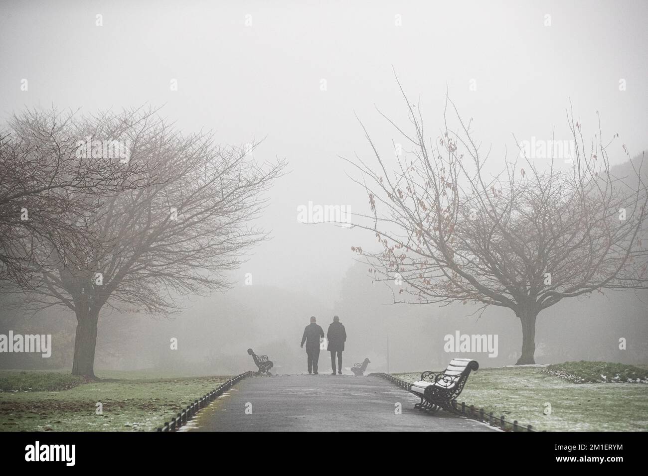 Foggy conditions in Phoenix Park, Dublin, as the Irish Met office ...