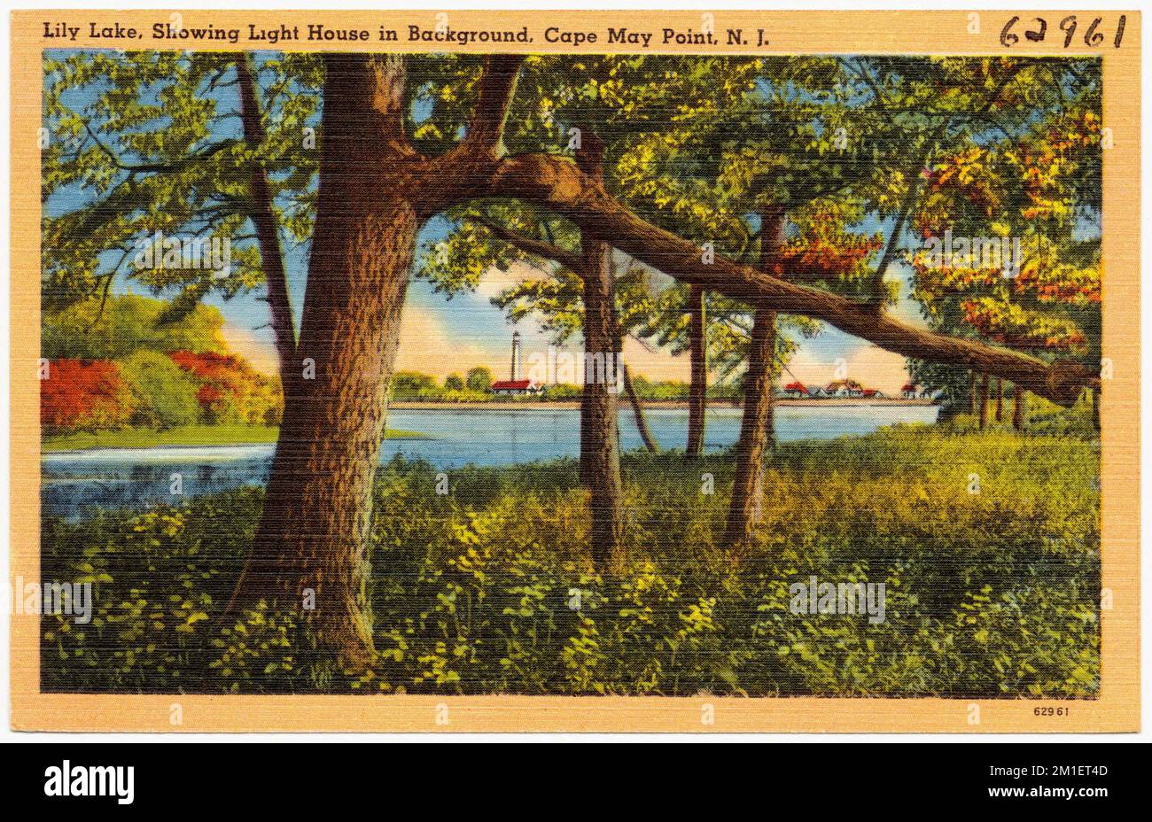 Lily Lake, showing light house in background, Cape May Point, N. J ...