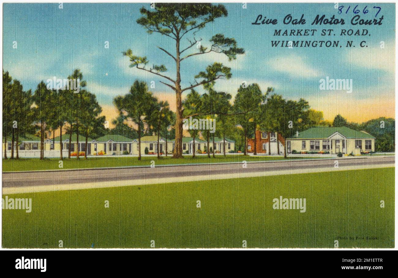 Live Oak Motor Court, Market St. Road, Wilmington, N. C. , Motels ...