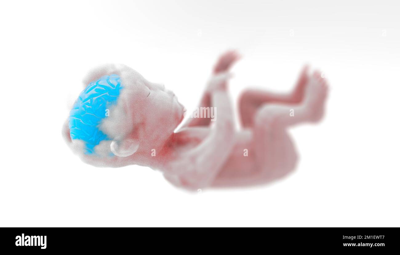 Child, fetus, organ formation. Cloud effect. Brain and dreams. Sensory ...