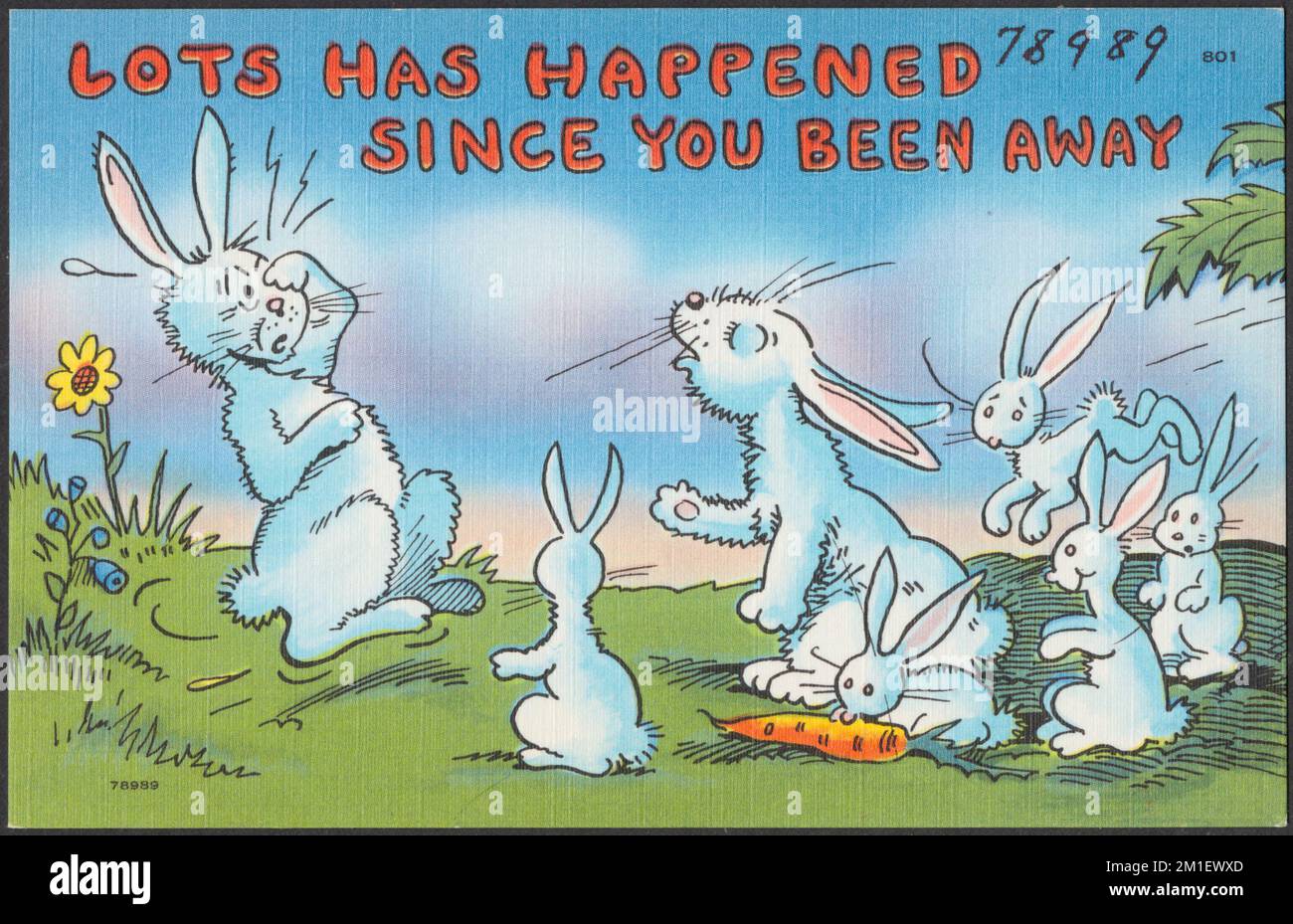 Lots has happened since you've been away , Rabbits, Tichnor Brothers ...