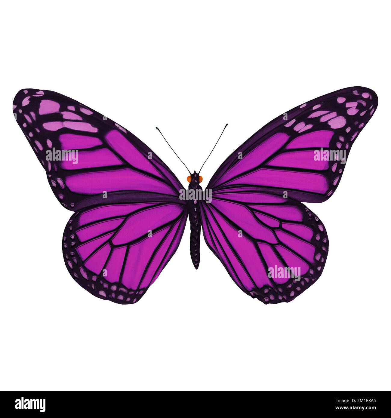 Purple Butterfly Insect Variation 1 Digital Art By Winters860 Isolated ...