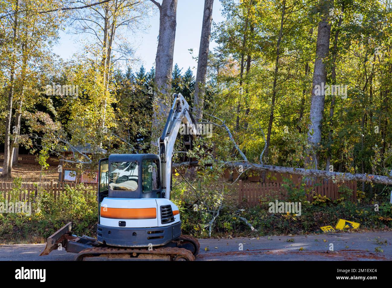 Tree uproot in storm hi-res stock photography and images - Alamy