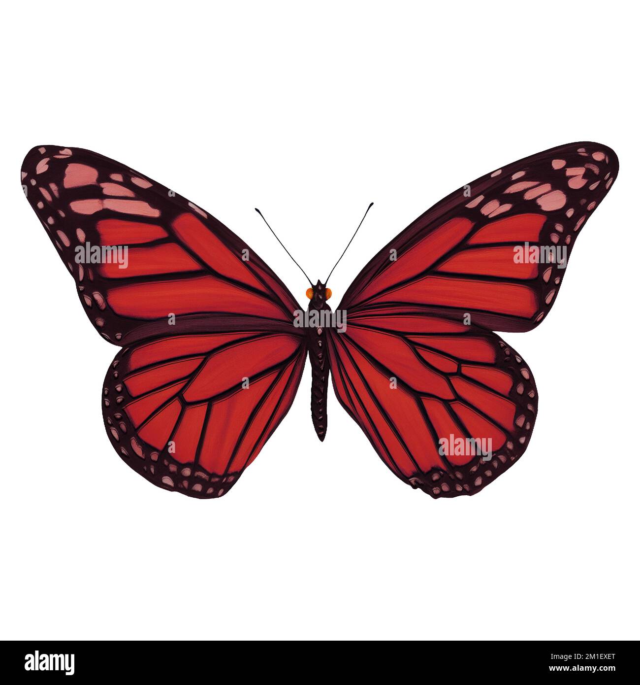 Red Butterfly Insect Variation 2 Digital Art By Winters860 Isolated, Transparent Background ...