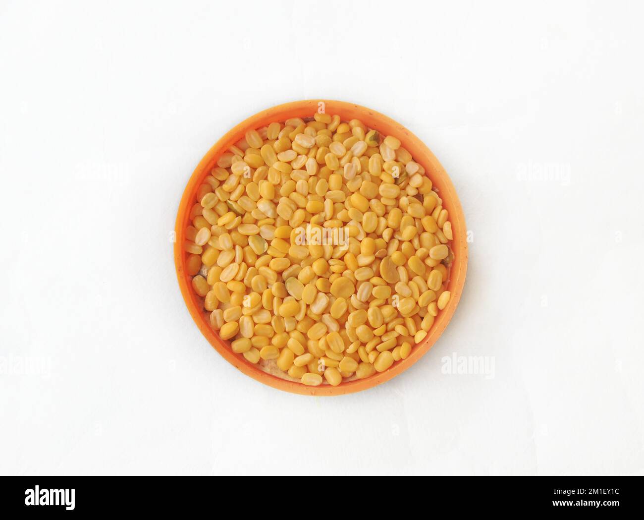 Meng pwa hi-res stock photography and images - Alamy