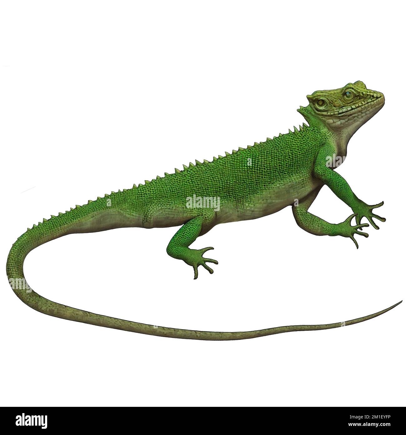 Green Lizard 4 Reptiles Digital Art By Winters860 Isolated, Transparent ...