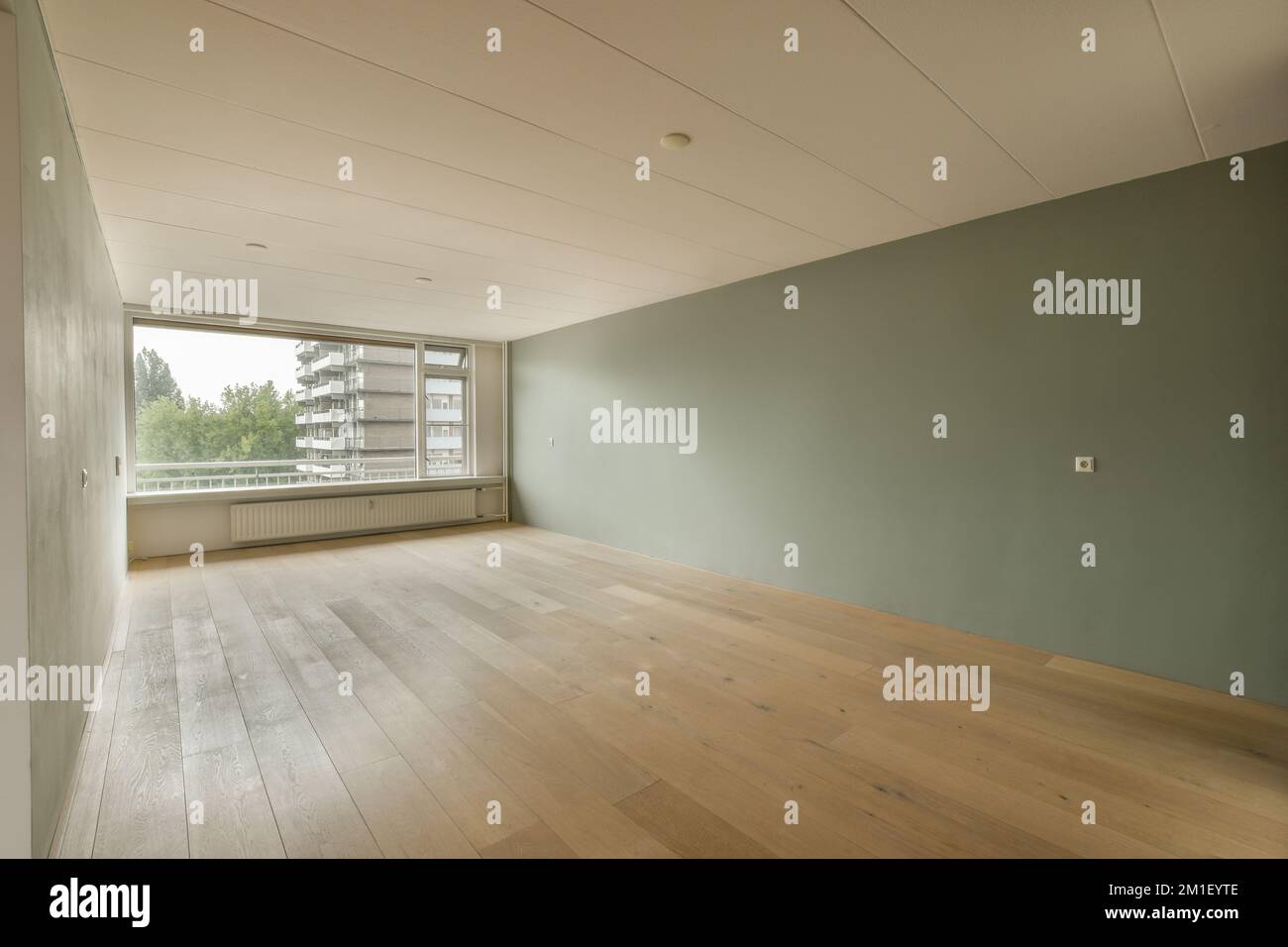 an empty room with wood flooring and walls painted in shades of green ...