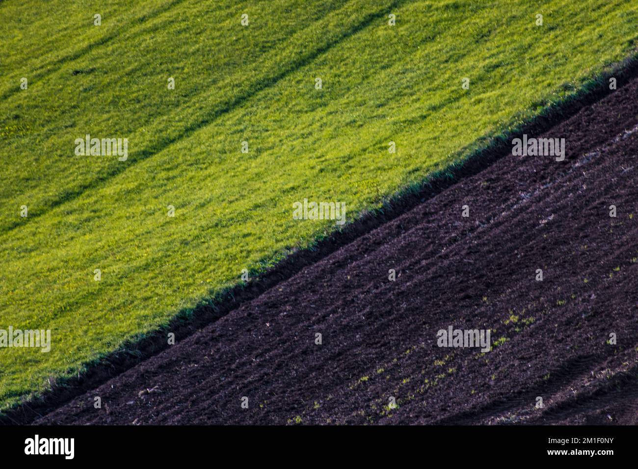An aerial view of the land half covered with green grass fields half ...