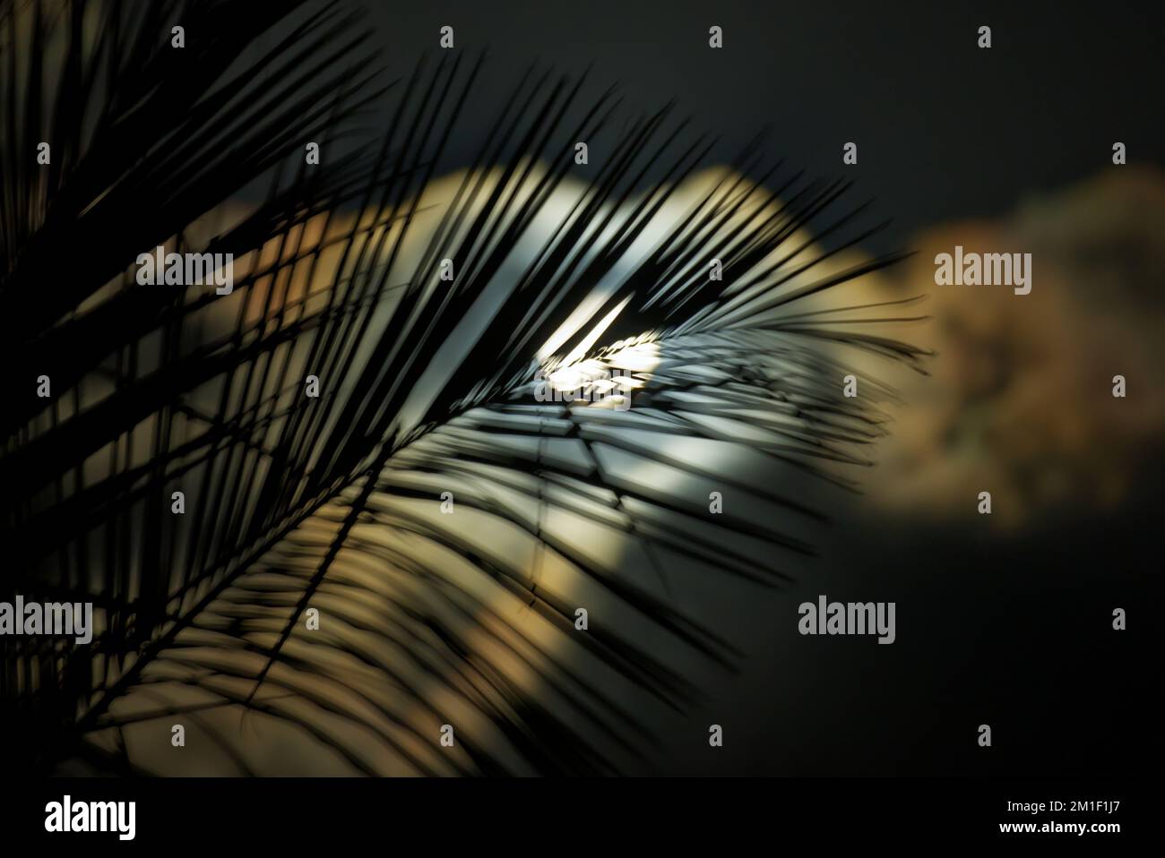 Seeping into sky hi-res stock photography and images - Alamy