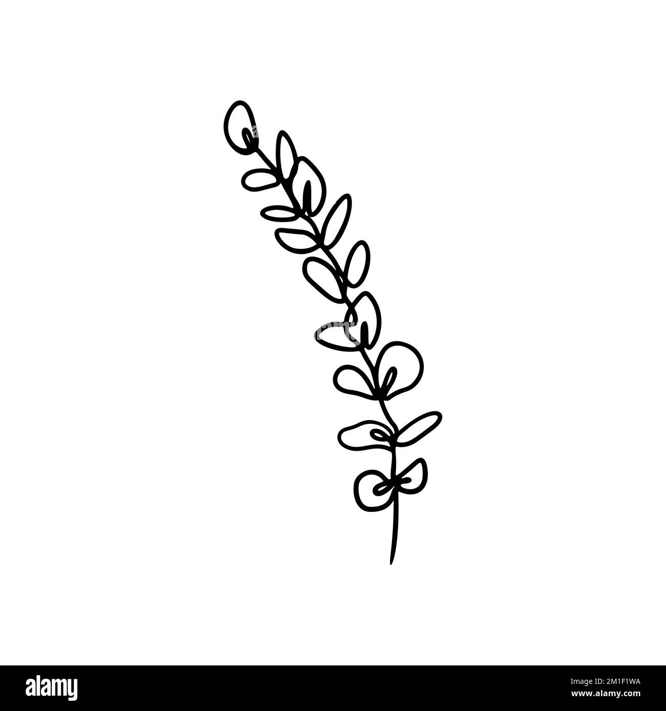 Single line drawing of eucalyptus branch on white Stock Vector Image ...